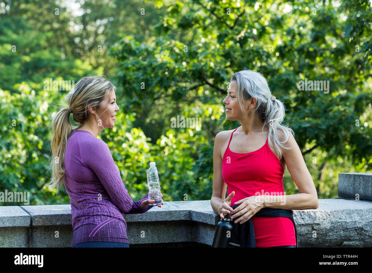 Two friends talking face to face hi-res stock photography and images ...