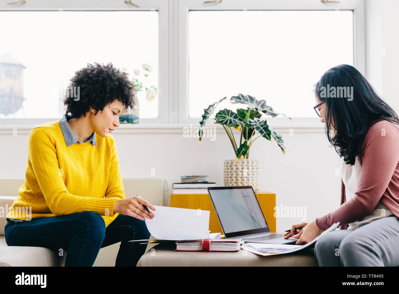Serious professional indian woman using hi-res stock photography and ...