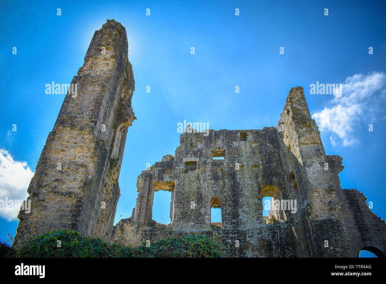 Eroded wall of Corfe castle Stock Photo - Alamy