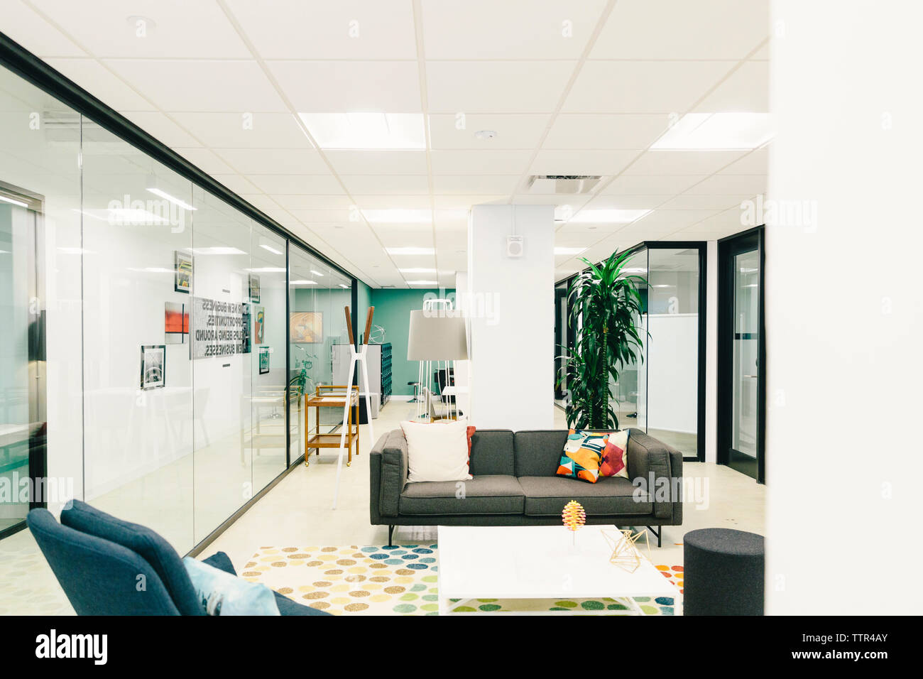 Modern office interior and plant hi-res stock photography and images ...