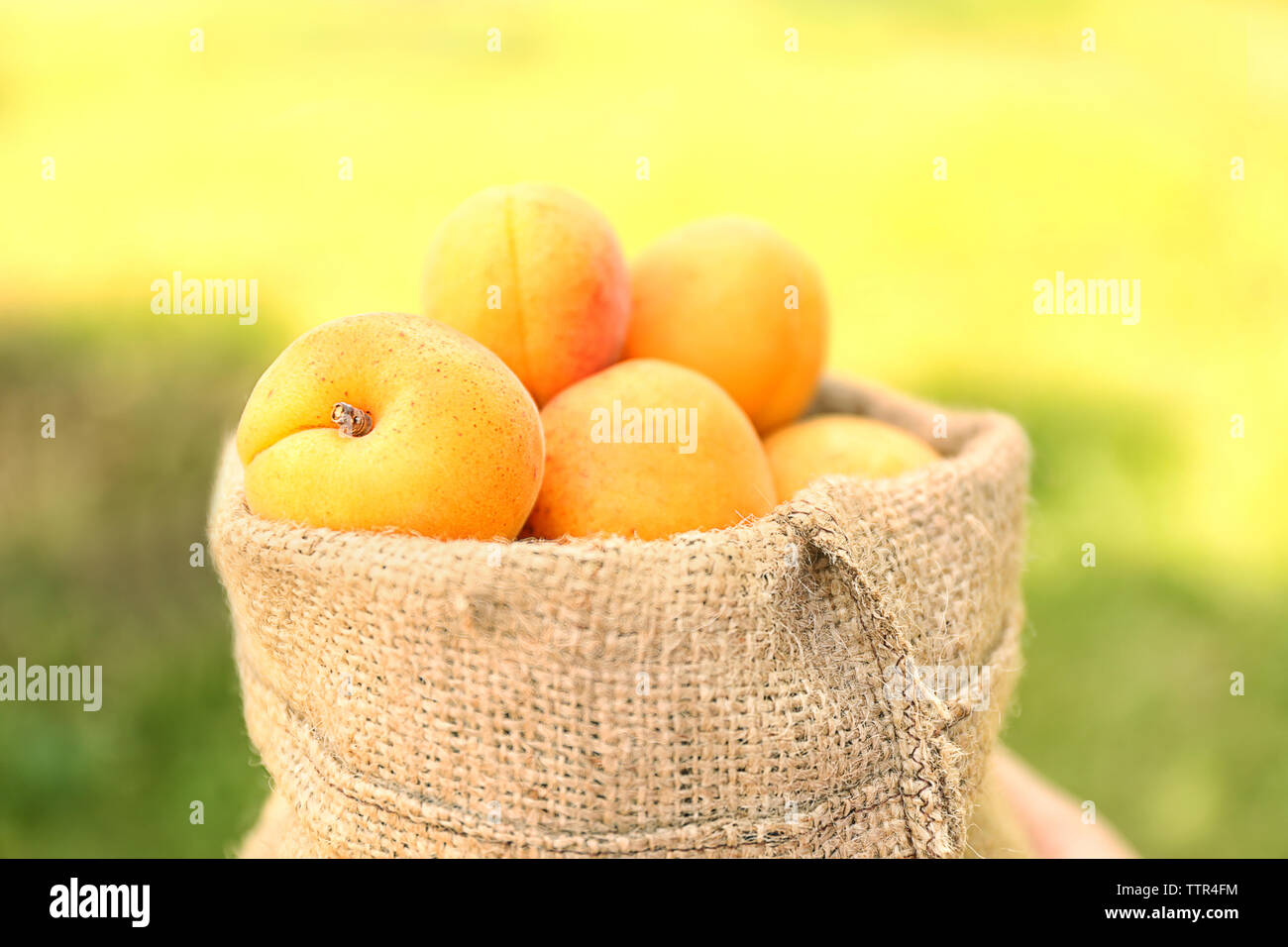 Bag of apricots hi-res stock photography and images - Alamy