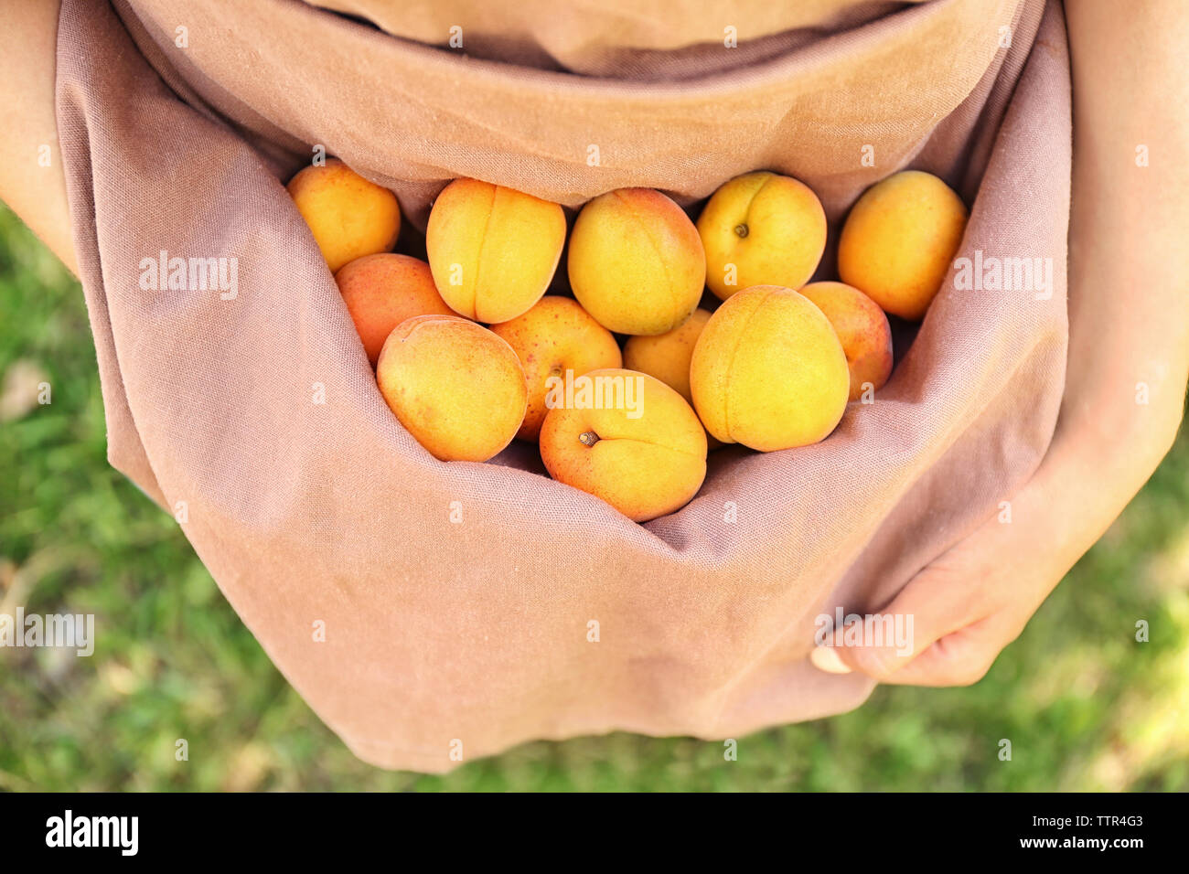 Many apricots hi-res stock photography and images - Alamy