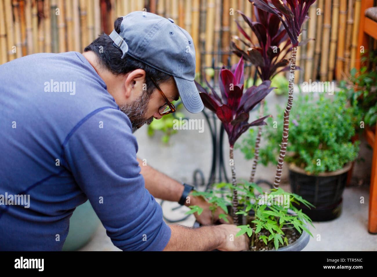 Planting plants hi-res stock photography and images - Alamy