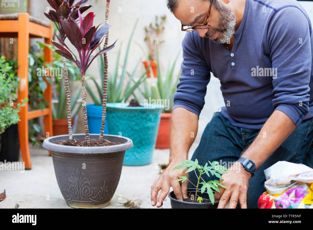 Business working in garden hi-res stock photography and images - Alamy