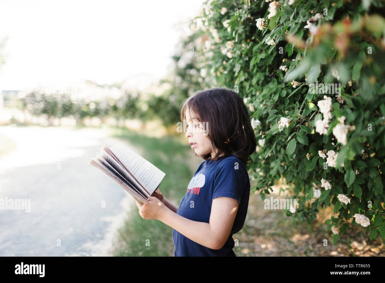 Boy reading hi-res stock photography and images - Alamy