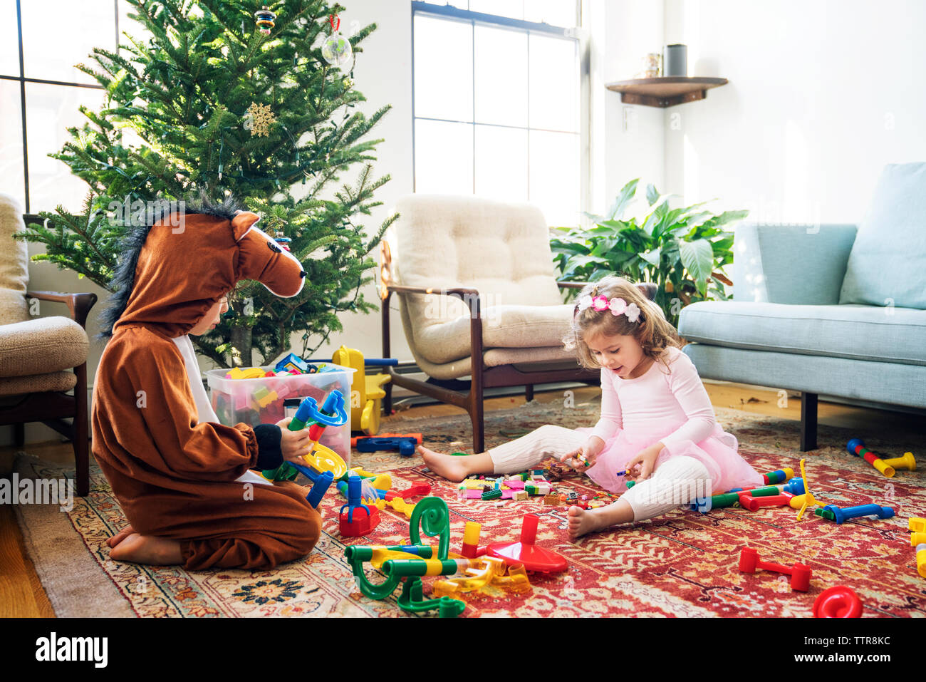 Blocks tree hi-res stock photography and images - Alamy