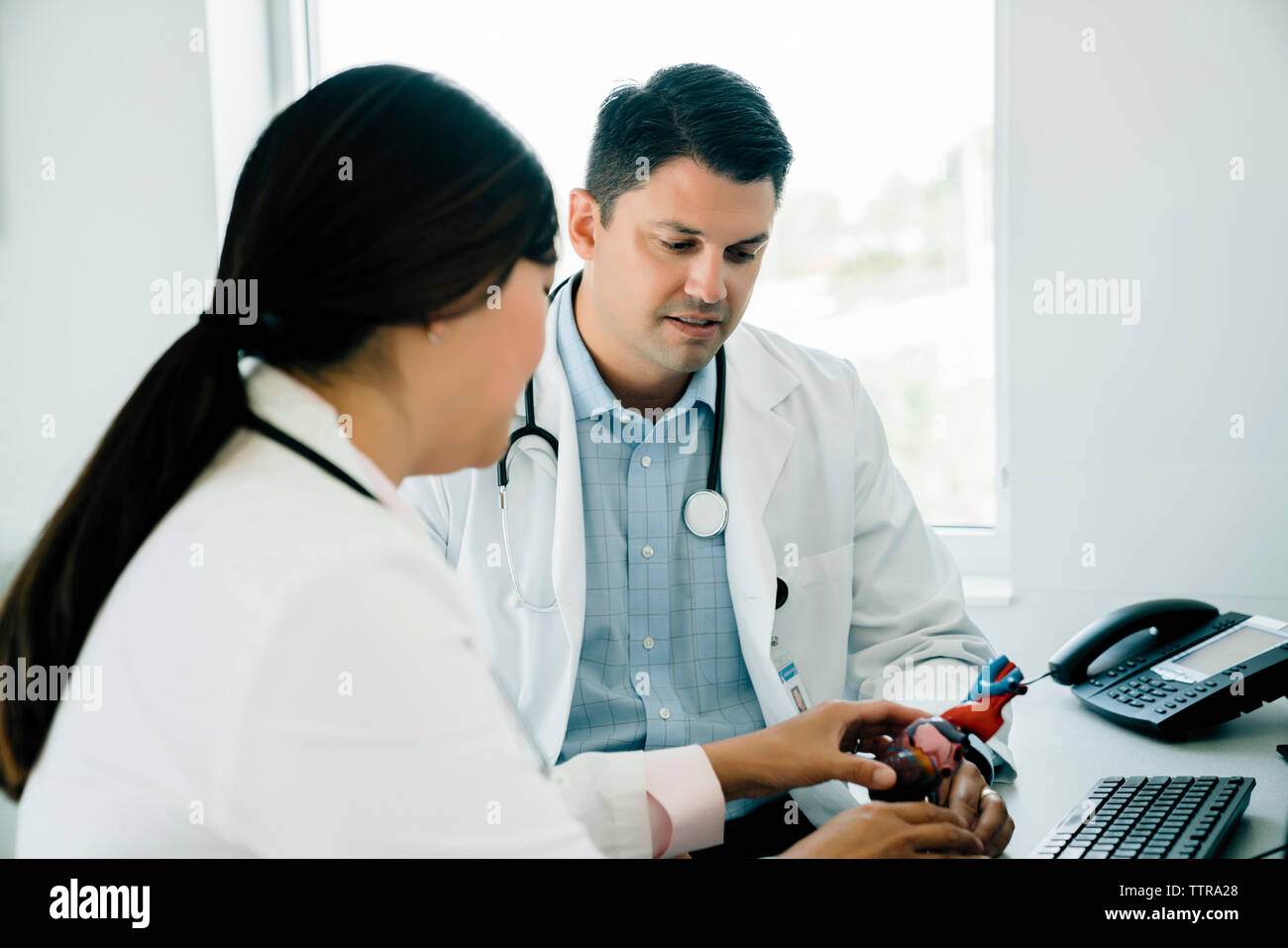 Doctors looking at anatomical heart model while working in hospital ...