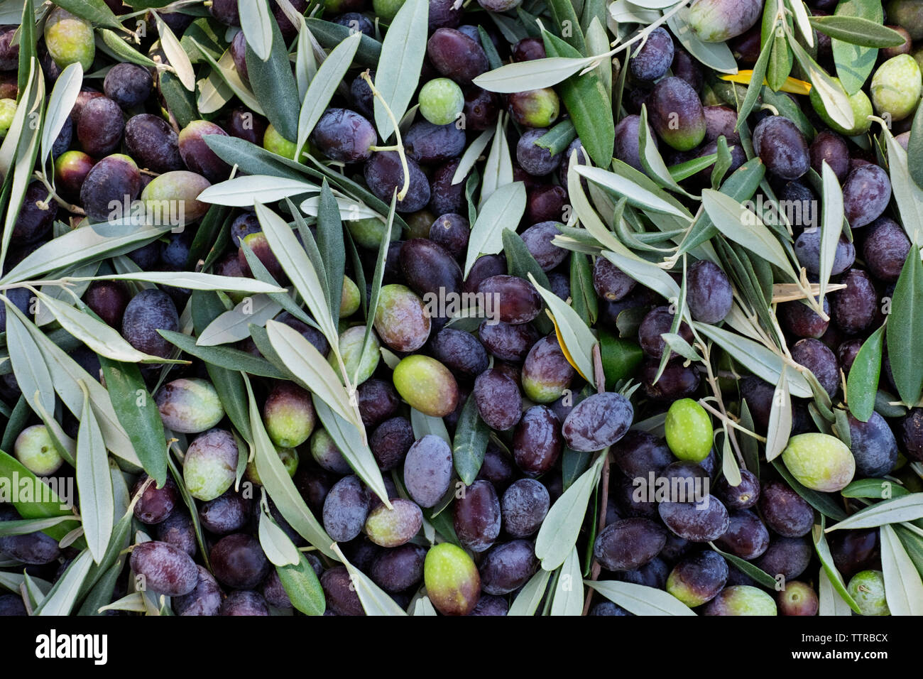Large group of fruits hi-res stock photography and images - Alamy