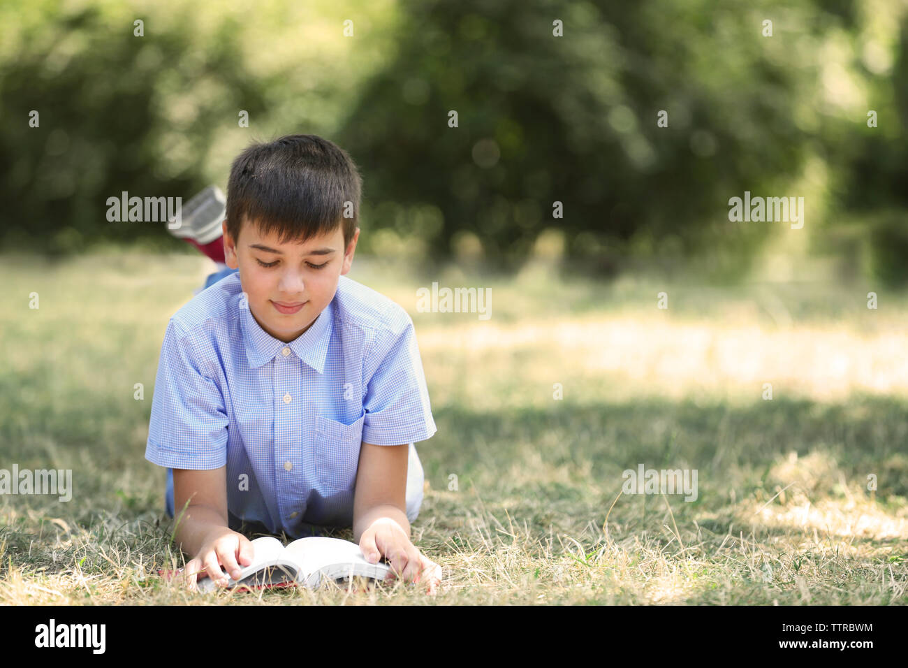 Cute boy reading book on green grass Stock Photo - Alamy
