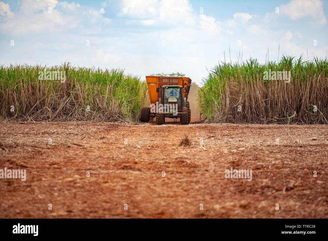 Sugarcane harvester hi-res stock photography and images - Alamy