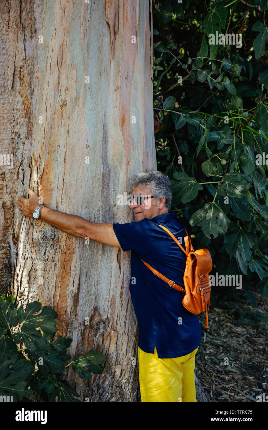 Trees embracing hi-res stock photography and images - Alamy