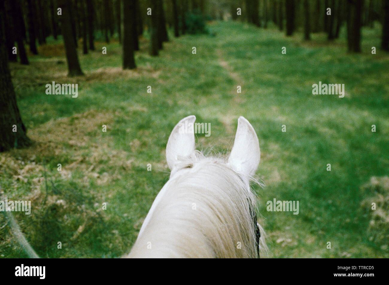 Grass footpath hi-res stock photography and images - Alamy