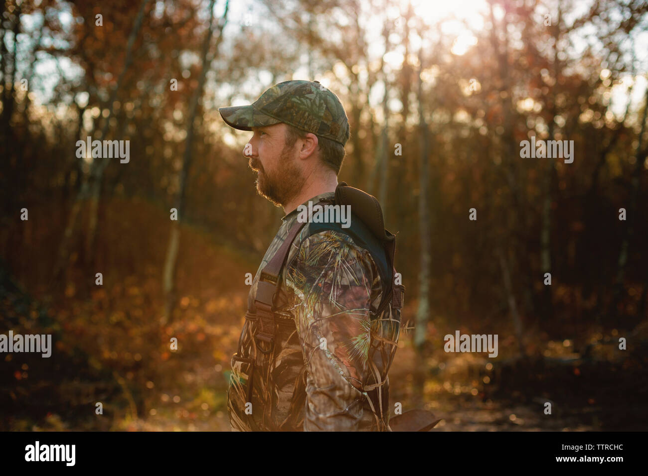 Side view of hiker standing in forest Stock Photo - Alamy