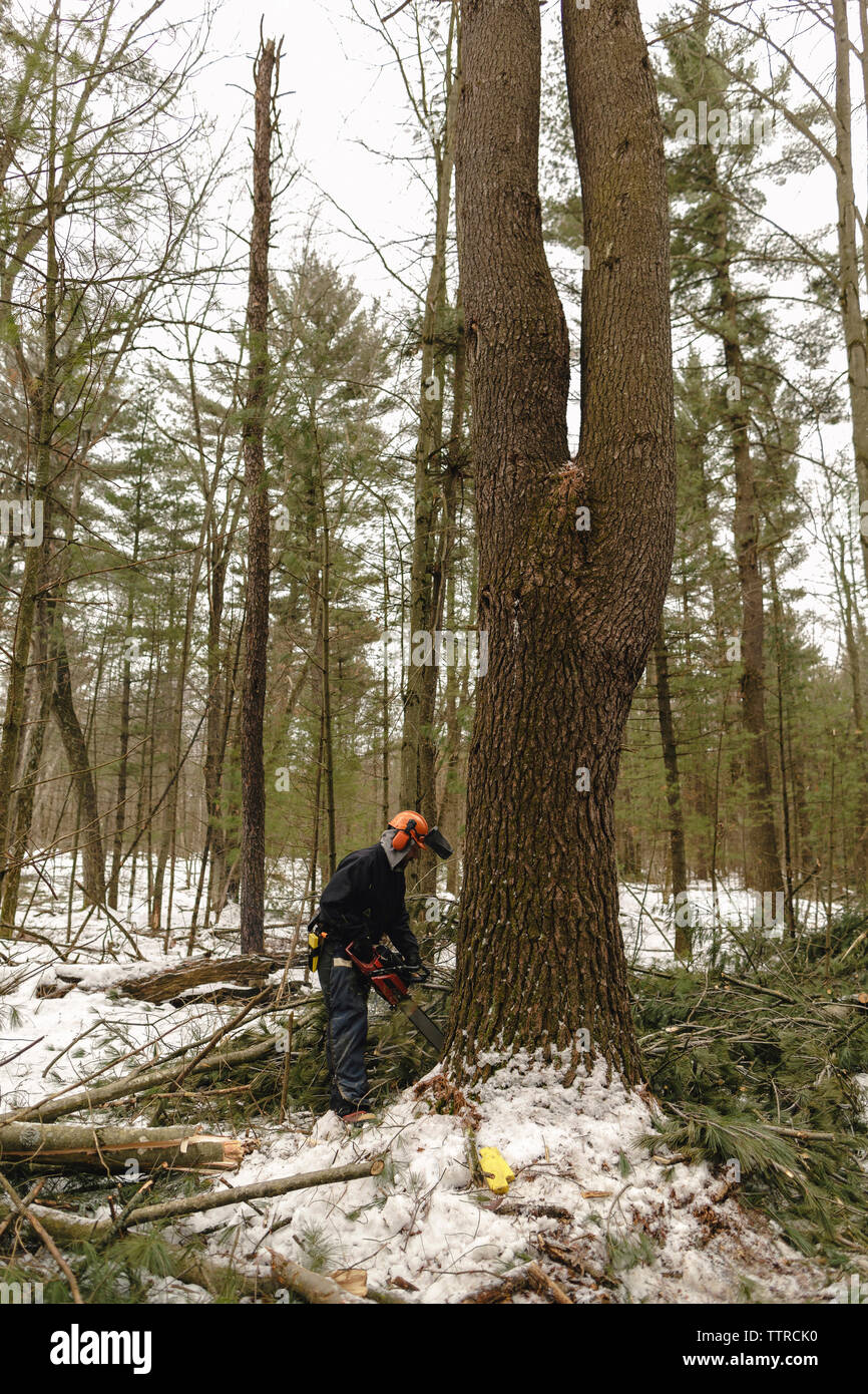Sawing man hi-res stock photography and images - Alamy