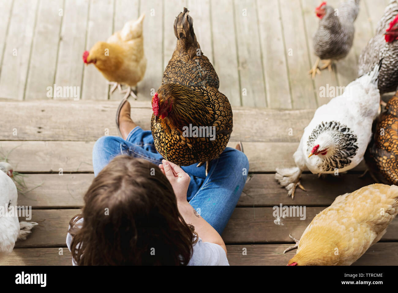 Free range girl hi-res stock photography and images - Alamy