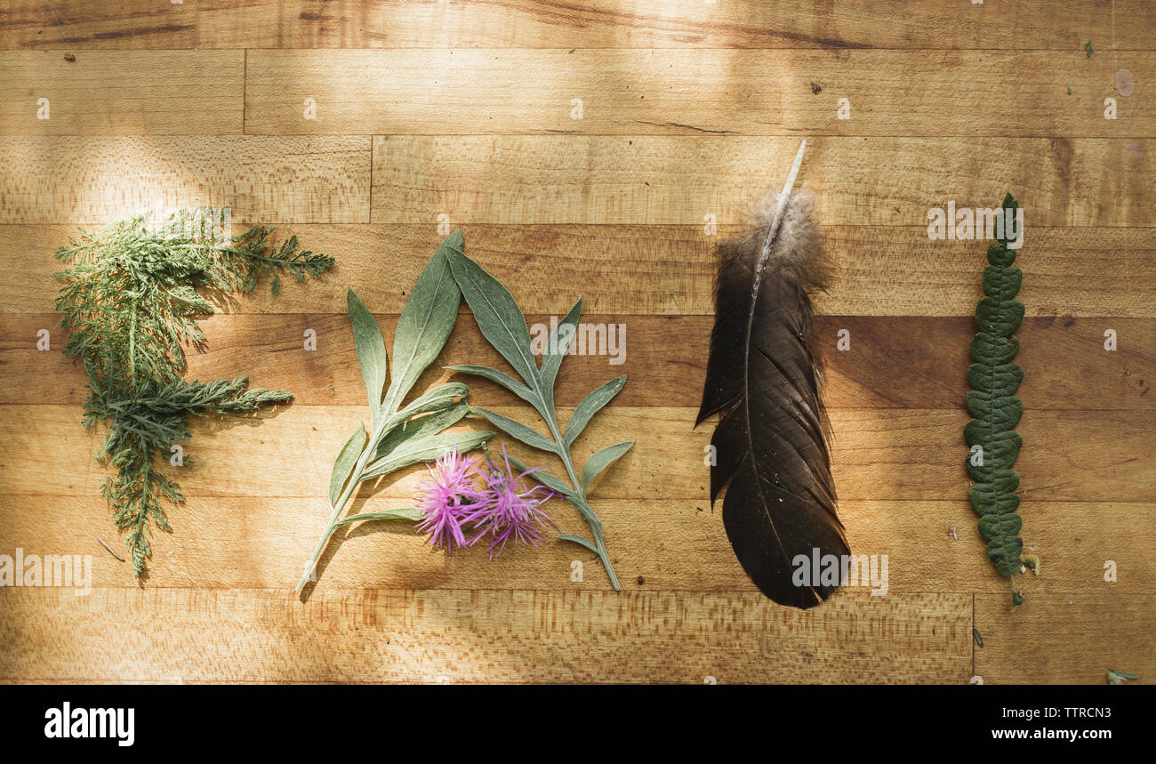 Flowers On Side Table High Resolution Stock Photography and Images - Alamy