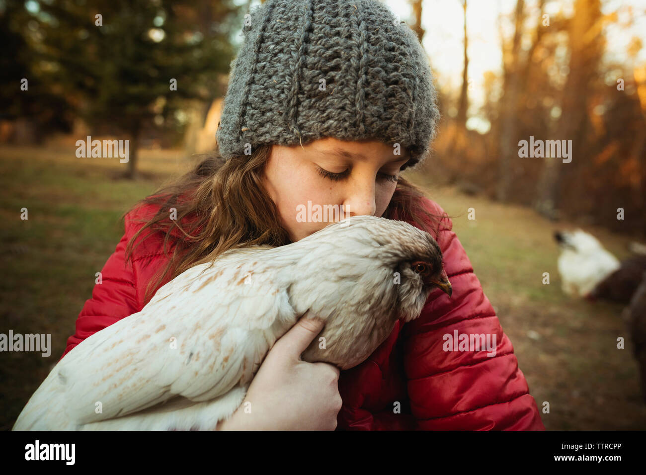 Girl kissing chicken while standing at poultry farm Stock Photo - Alamy