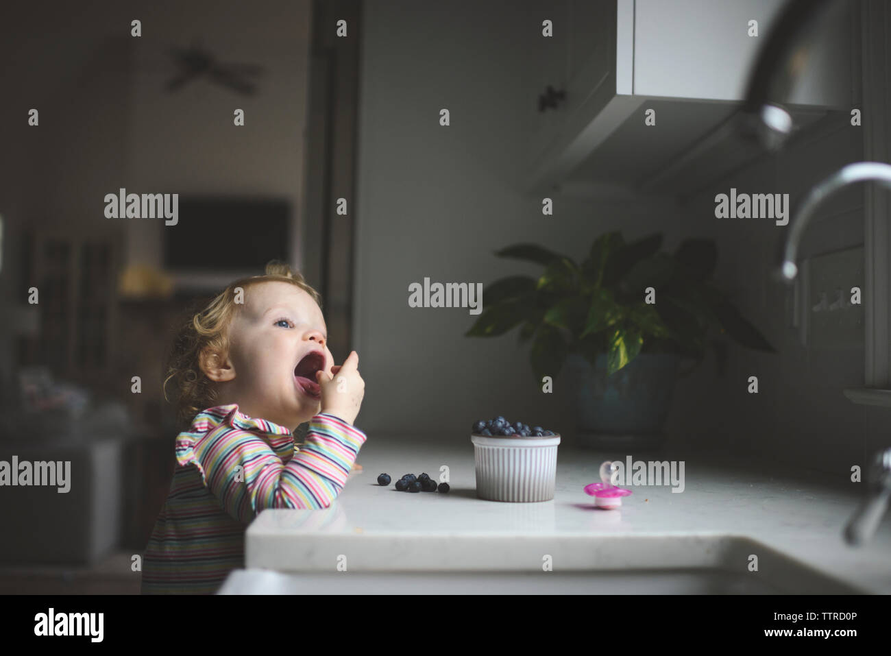 Cute girl eating blueberries while standing by kitchen counter at home ...