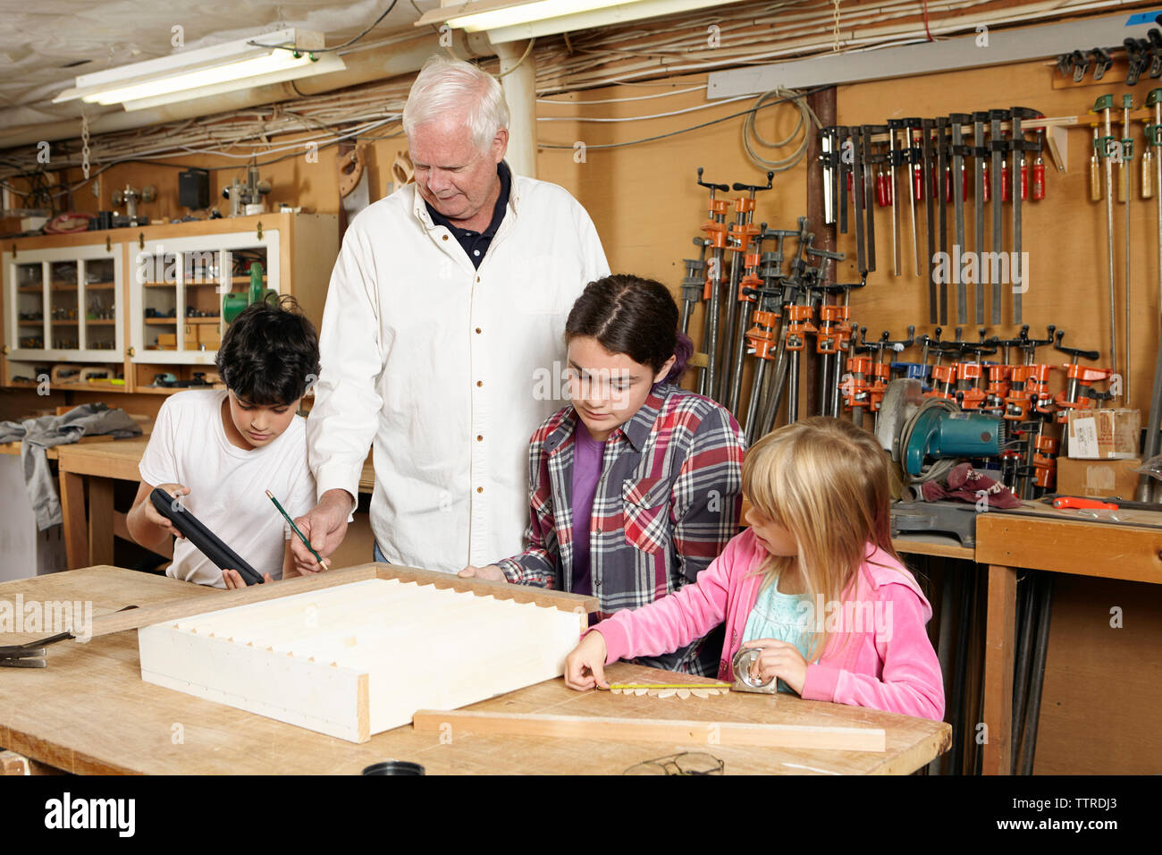 Carpenter teaching students in workshop Stock Photo - Alamy