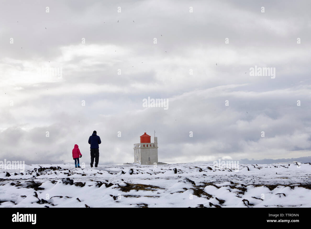 Father of landscape architecture hi-res stock photography and images ...