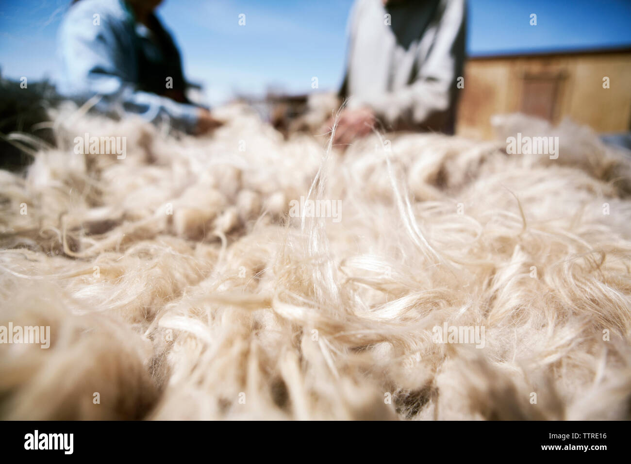 Agriculture sunny hi-res stock photography and images - Alamy