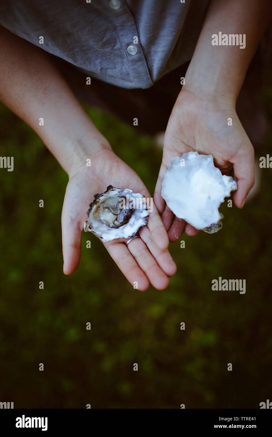 Low section of man holding oyster shells at lawn Stock Photo - Alamy