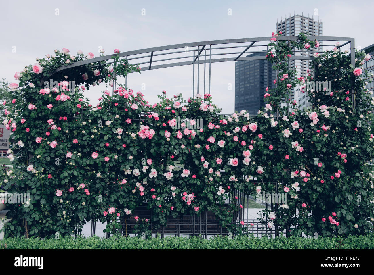 Plants in buildings hi-res stock photography and images - Alamy