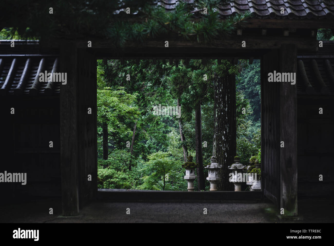 Entrance gate trees hi-res stock photography and images - Alamy