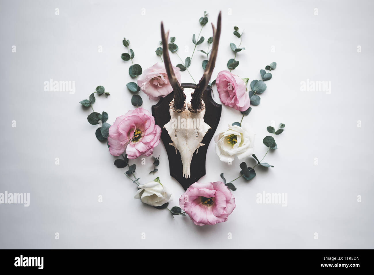 Trophy decoration hi-res stock photography and images - Alamy