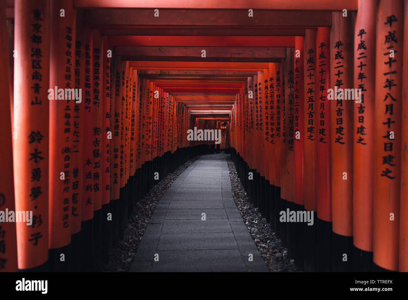 Row of tori gates Stock Photo - Alamy