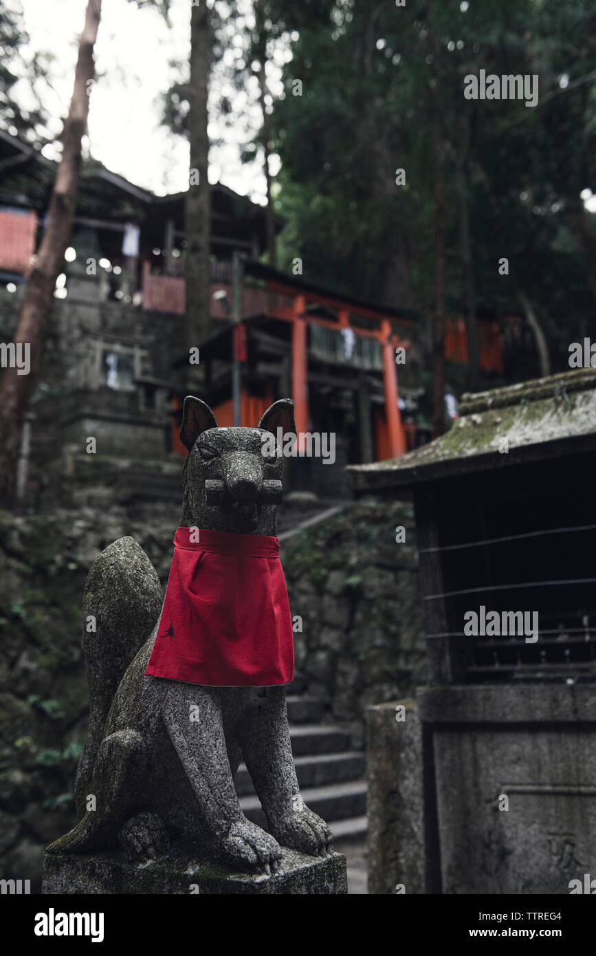 Shrine fox hi-res stock photography and images - Alamy