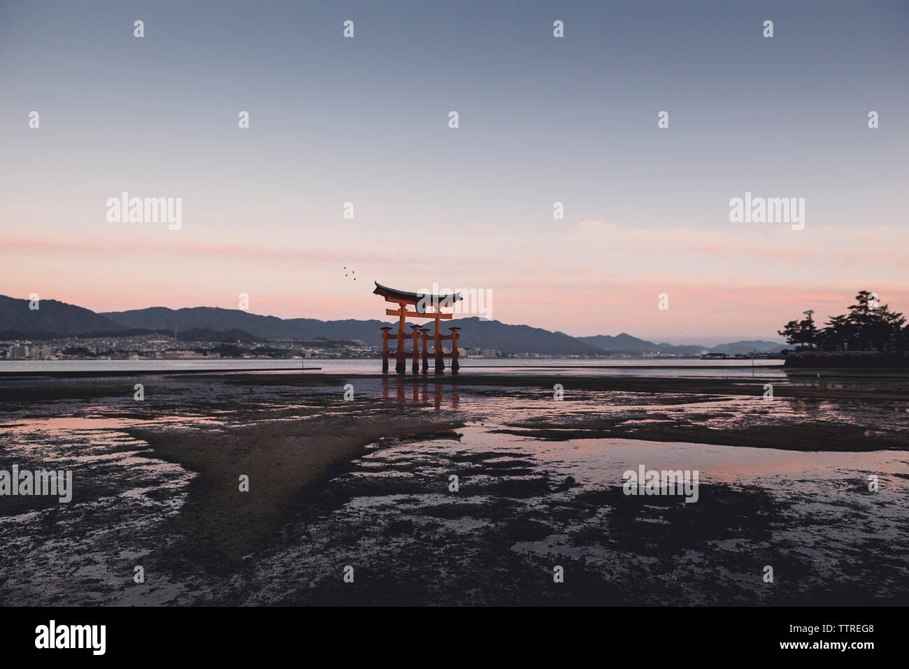 Japanese tori gate hi-res stock photography and images - Alamy