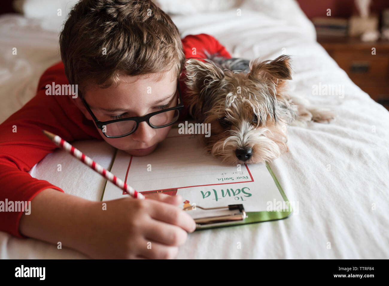 Close-up of boy writing letter while lying on bed with Yorkshire ...