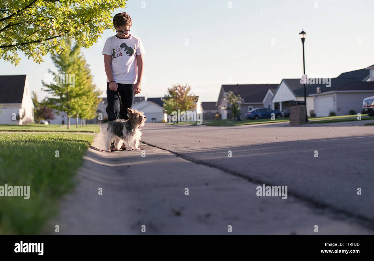 Boy walking dog sidewalk hi-res stock photography and images - Alamy