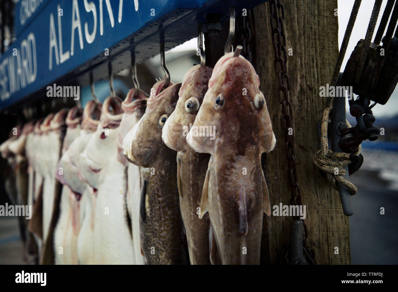 Hanging arrangement hi-res stock photography and images - Alamy