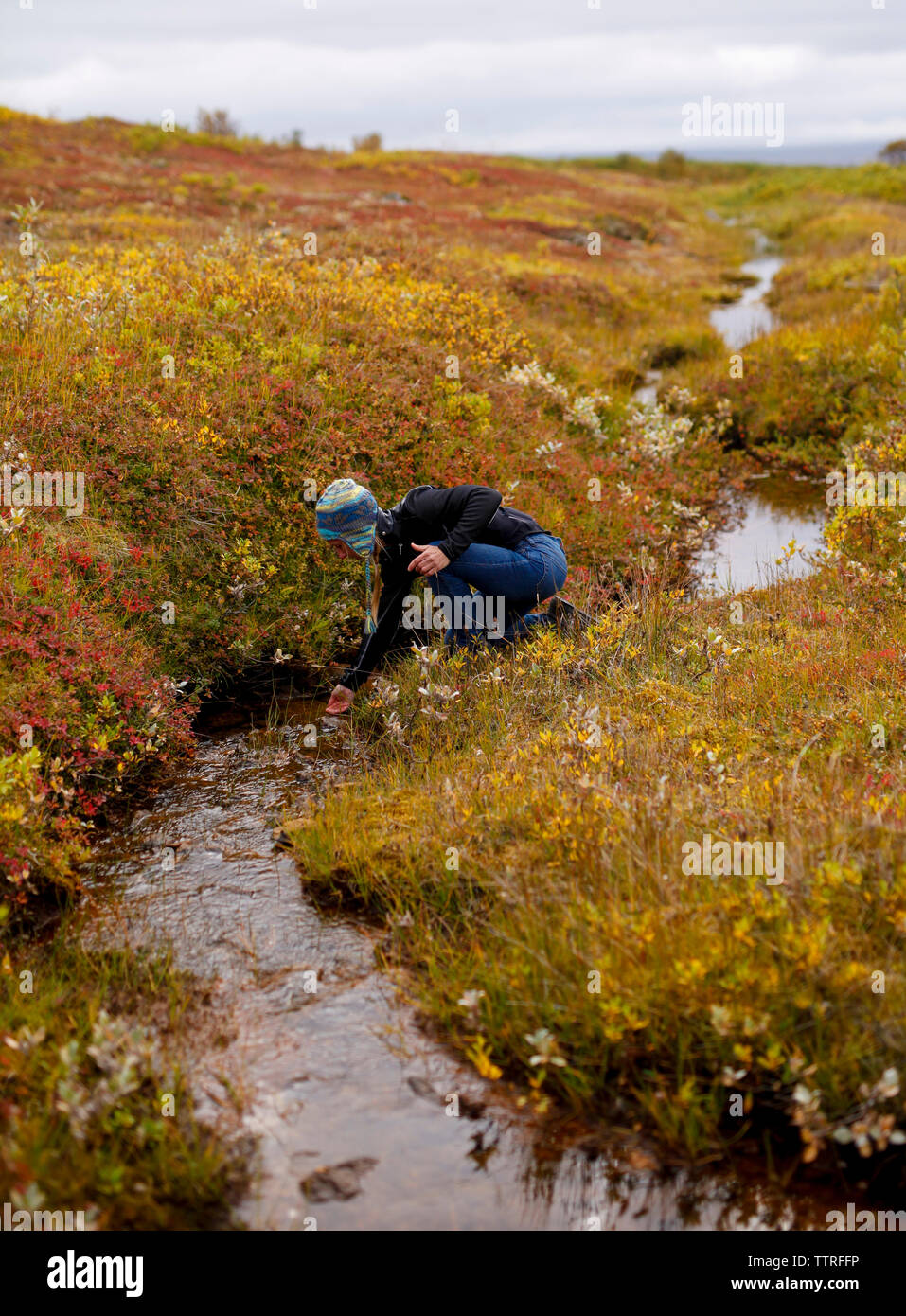 Stream Side Plants High Resolution Stock Photography and Images - Alamy