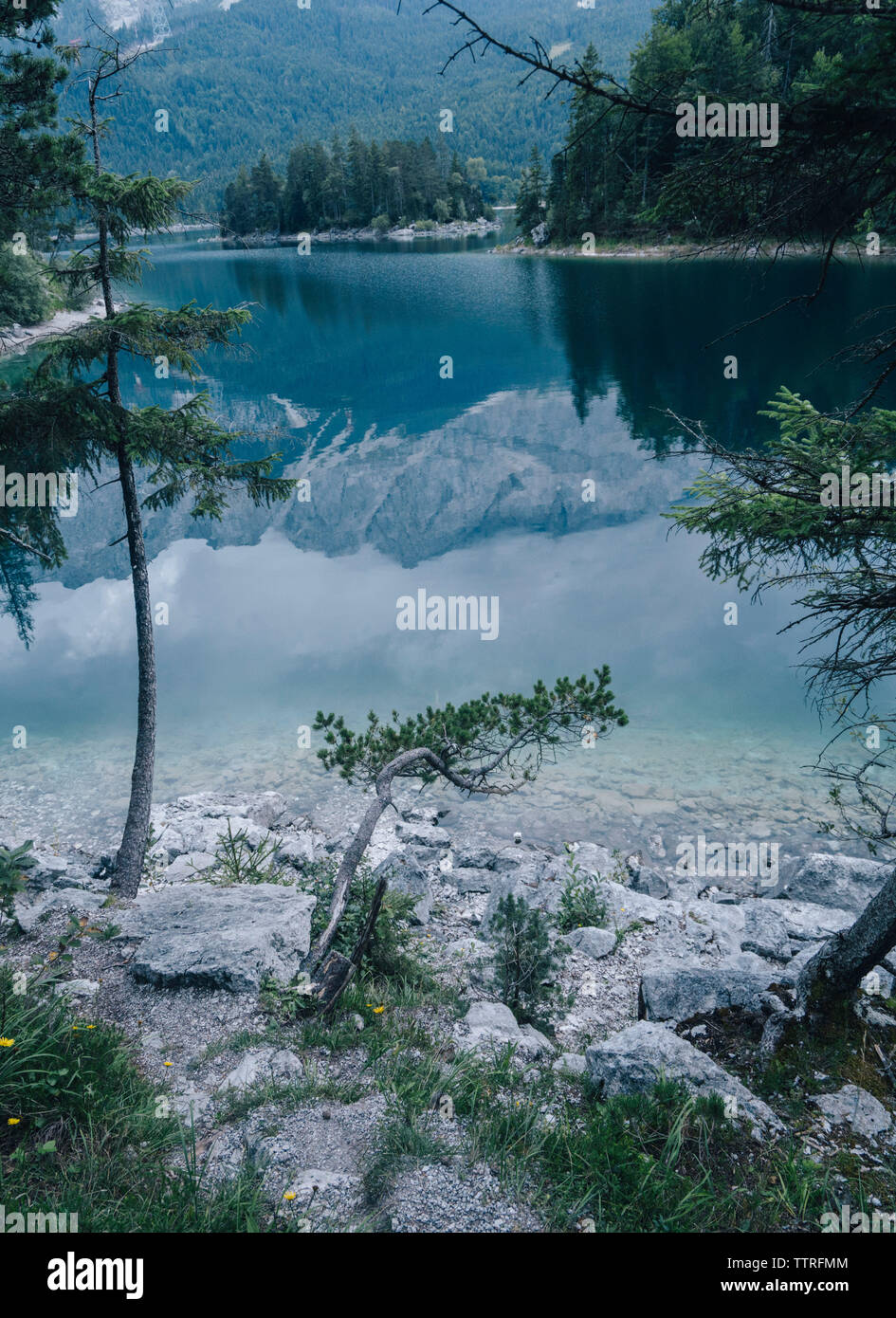 Calm forest hi-res stock photography and images - Alamy