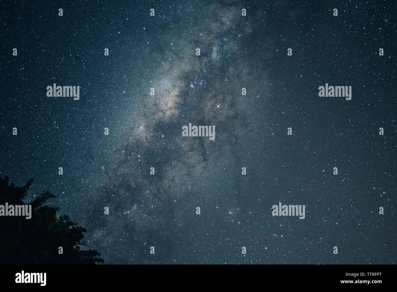 Field reunion hi-res stock photography and images - Alamy