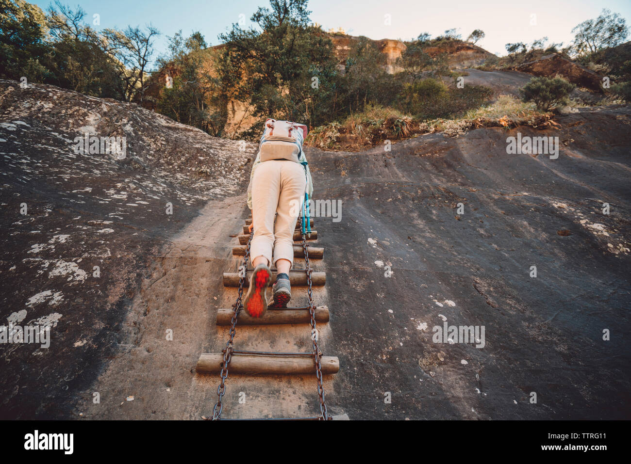 Woman up ladder hi-res stock photography and images - Alamy