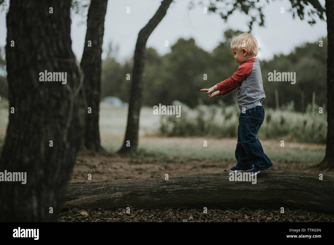 Side view of boy walking on fallen tree trunk Stock Photo - Alamy