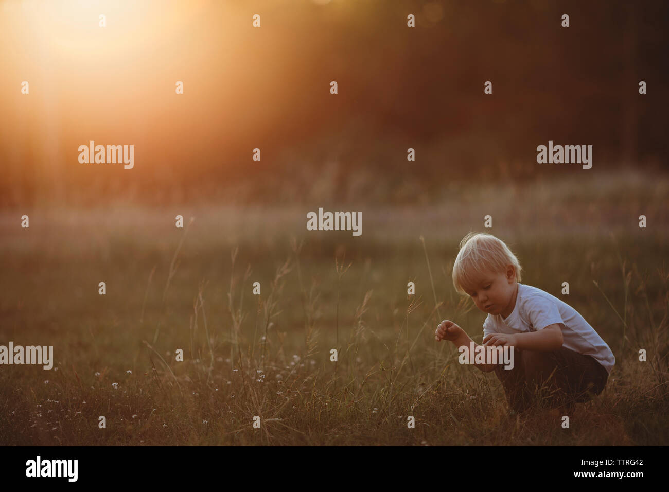 Crouching on grass hi-res stock photography and images - Alamy