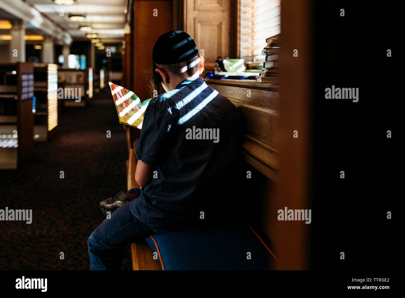 Rear view of boy reading book by window in library Stock Photo - Alamy