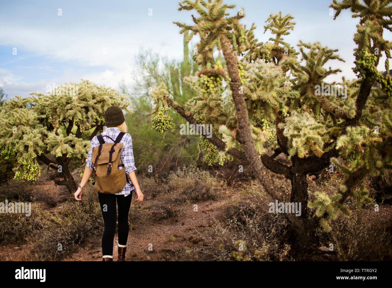 Walking trees hi-res stock photography and images - Alamy