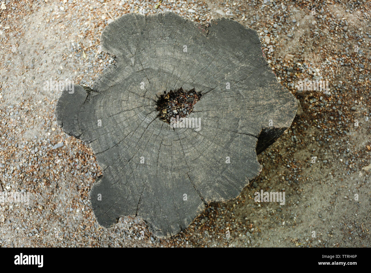 Soil round cross section hi-res stock photography and images - Alamy