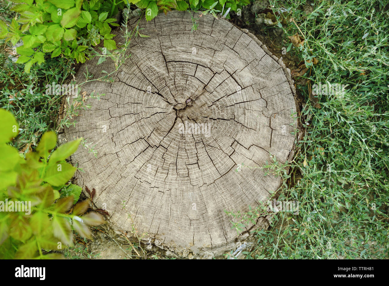 Soil round cross section hi-res stock photography and images - Alamy