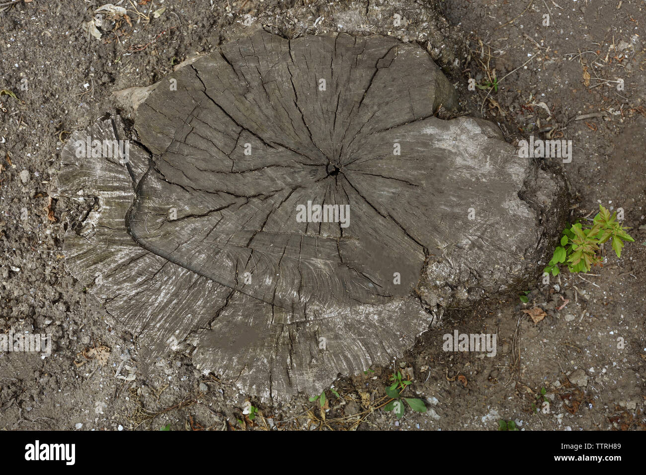 Soil round cross section hi-res stock photography and images - Alamy
