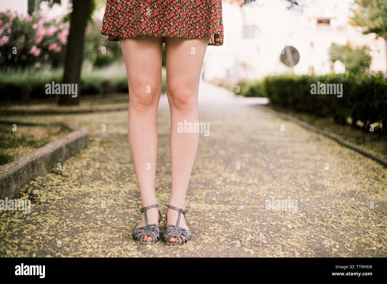 Female legs mini dress hi-res stock photography and images - Alamy