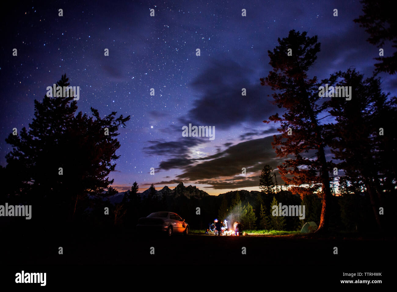 Starry night sky forest hi-res stock photography and images - Alamy