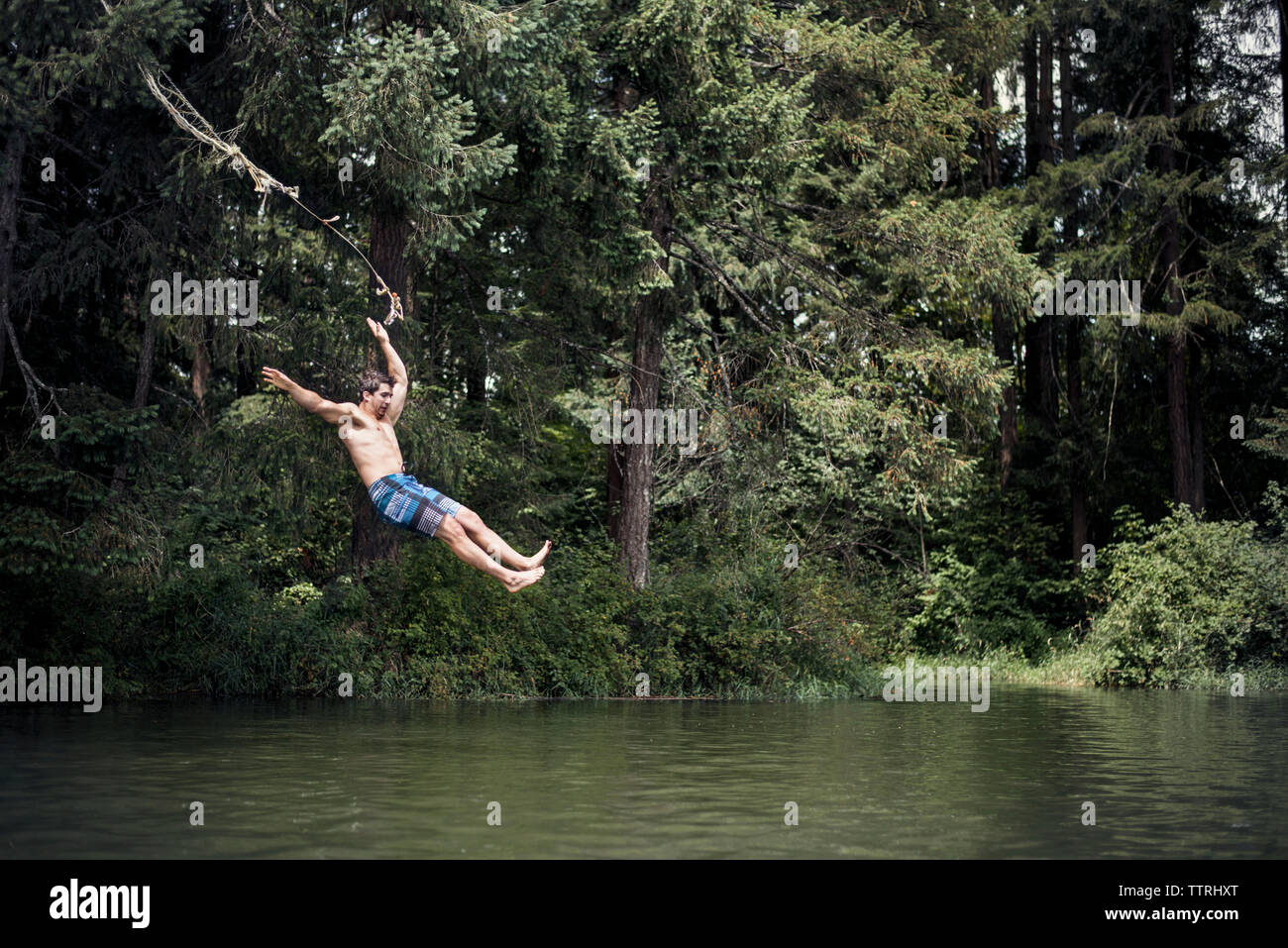 Mixed forest by the lake hi-res stock photography and images - Alamy