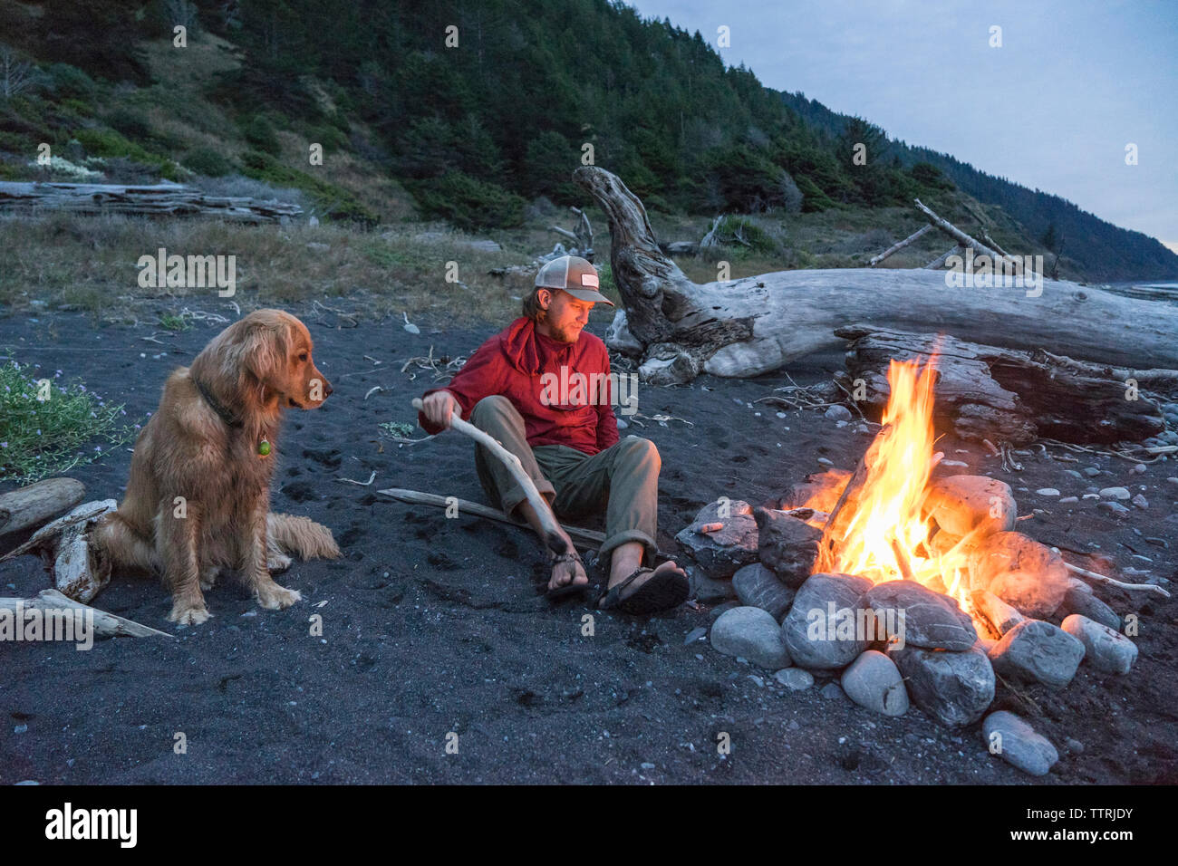 Campfire Dog Photography